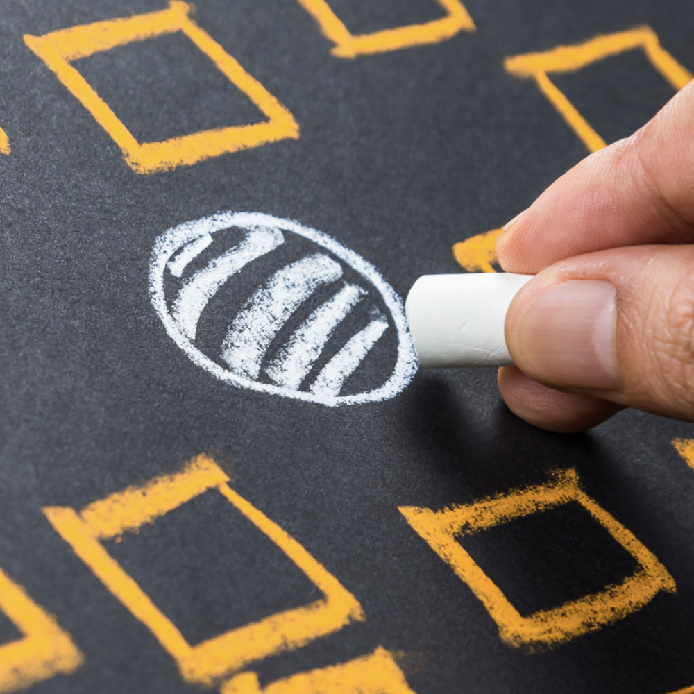 Das Situation Response Board: Überblick in unklaren Zeiten - Growth by ...